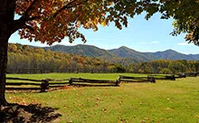 Virginia Estates - Virginia's Premier Real Estate Agency