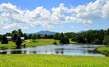 Virginia Estates - Virginia's Premier Real Estate Agency